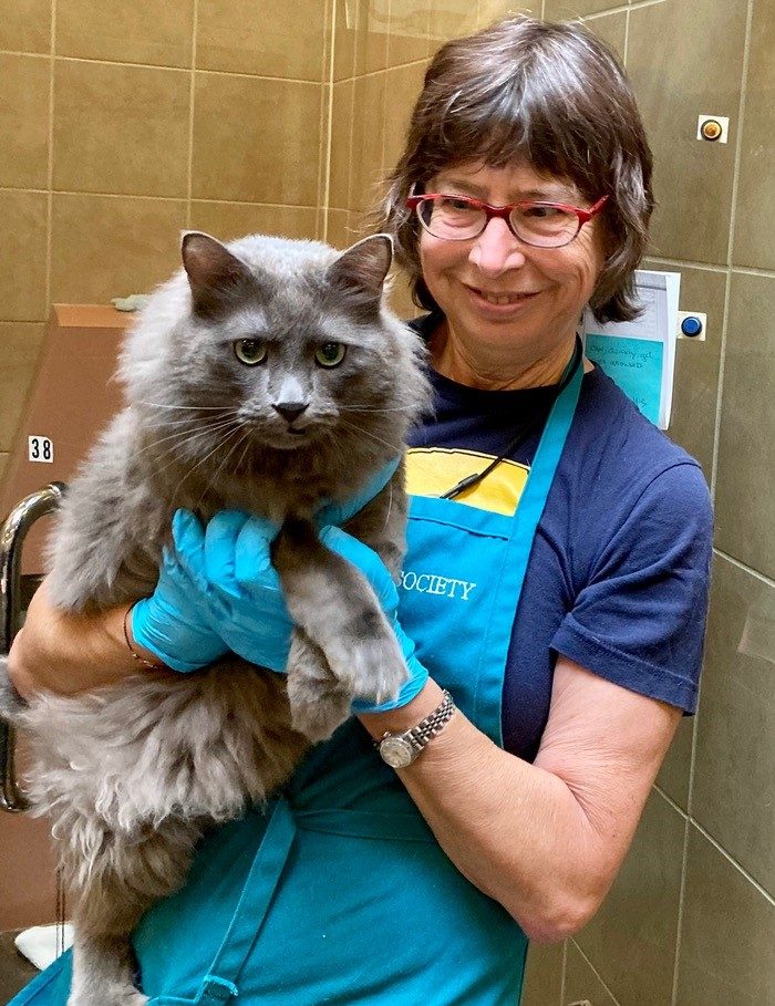 Oregon Humane Assists Multnomah County Animal Services | Oregon Humane