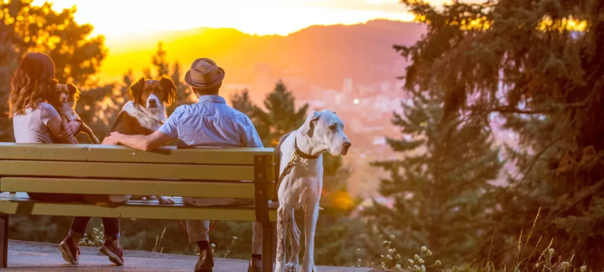 Expo - Oregon Humane Society