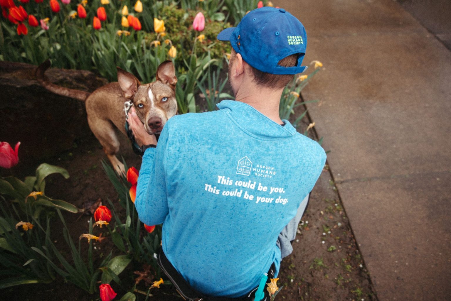 Volunteer | Oregon Humane Society