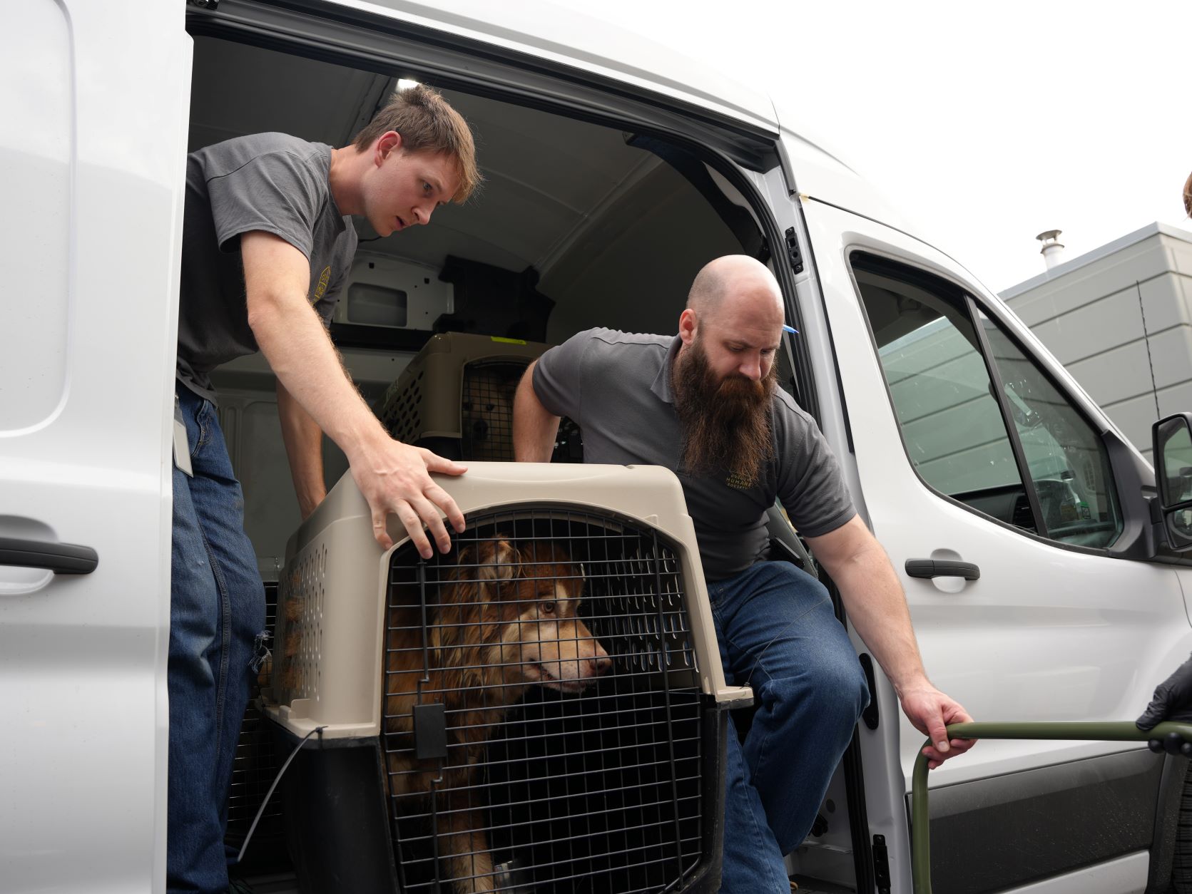 Portland and Salem Campuses Assist with Multiple Rescues - Oregon ...