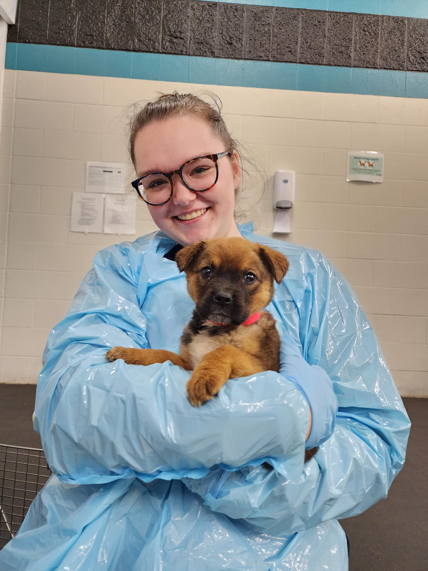 OHS Partners with ASPCA to Fly 60+ Puppies to Safety - Oregon Humane ...