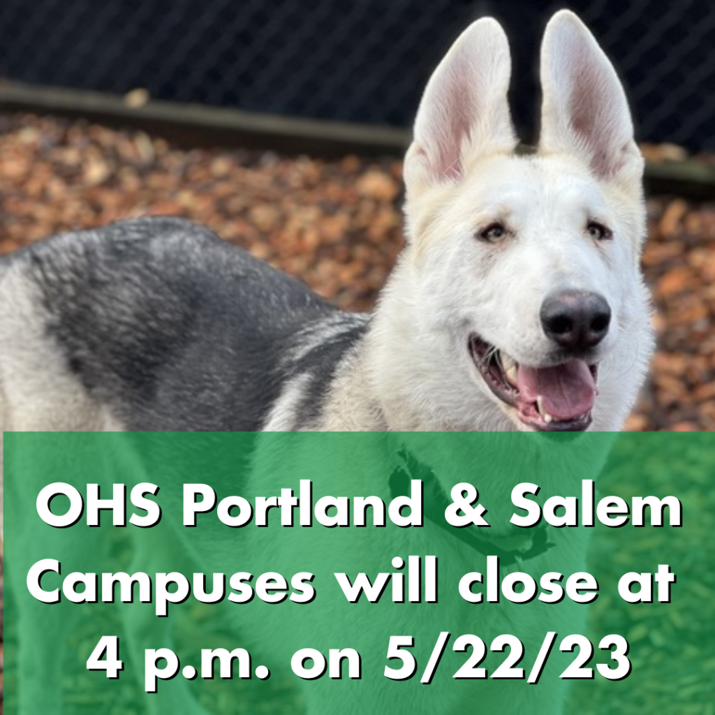 Adopt a Pet | Oregon Humane Society