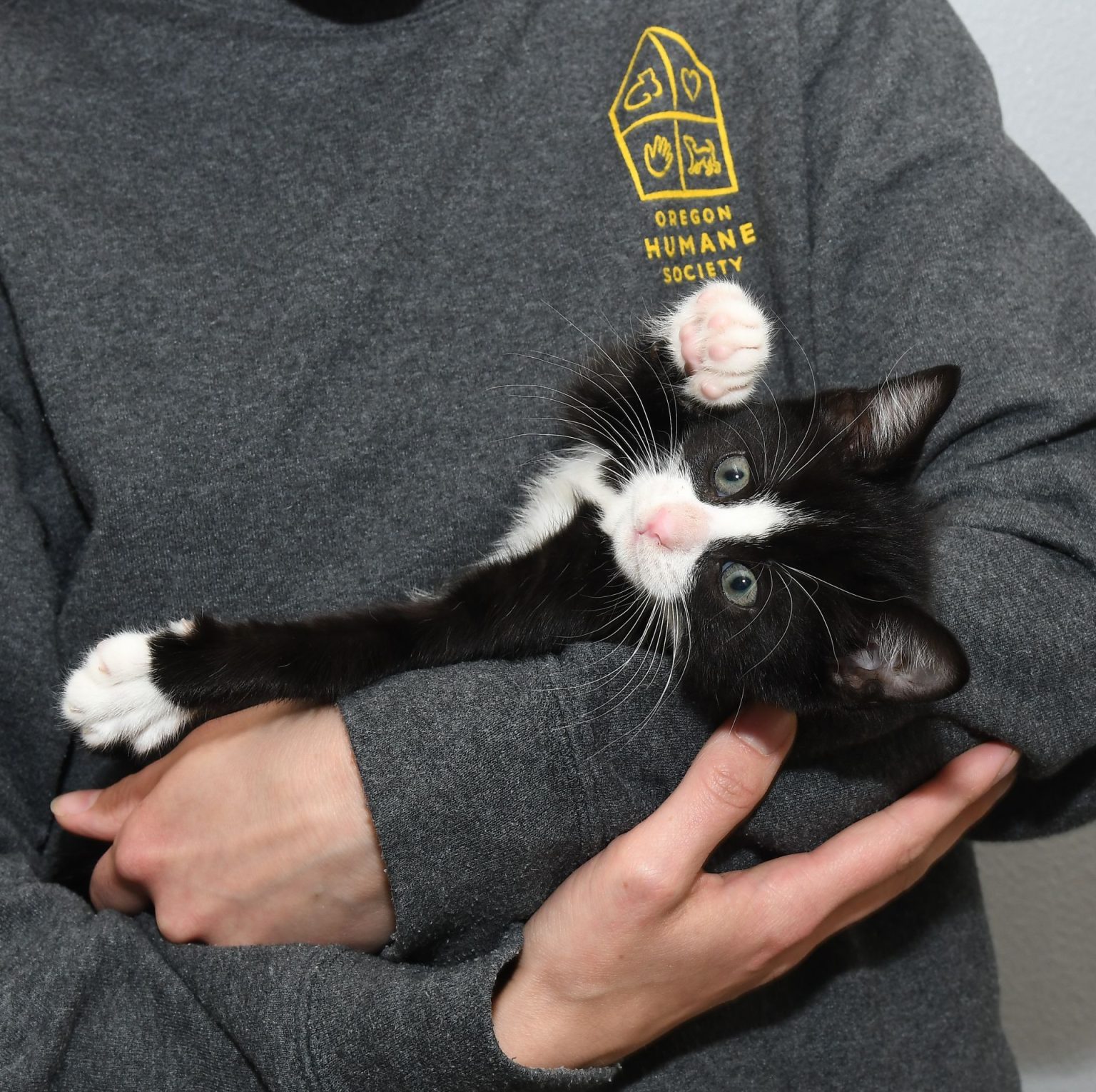 Here for Salem | Oregon Humane