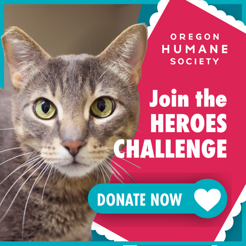 Adopt a Pet - Oregon Humane Society