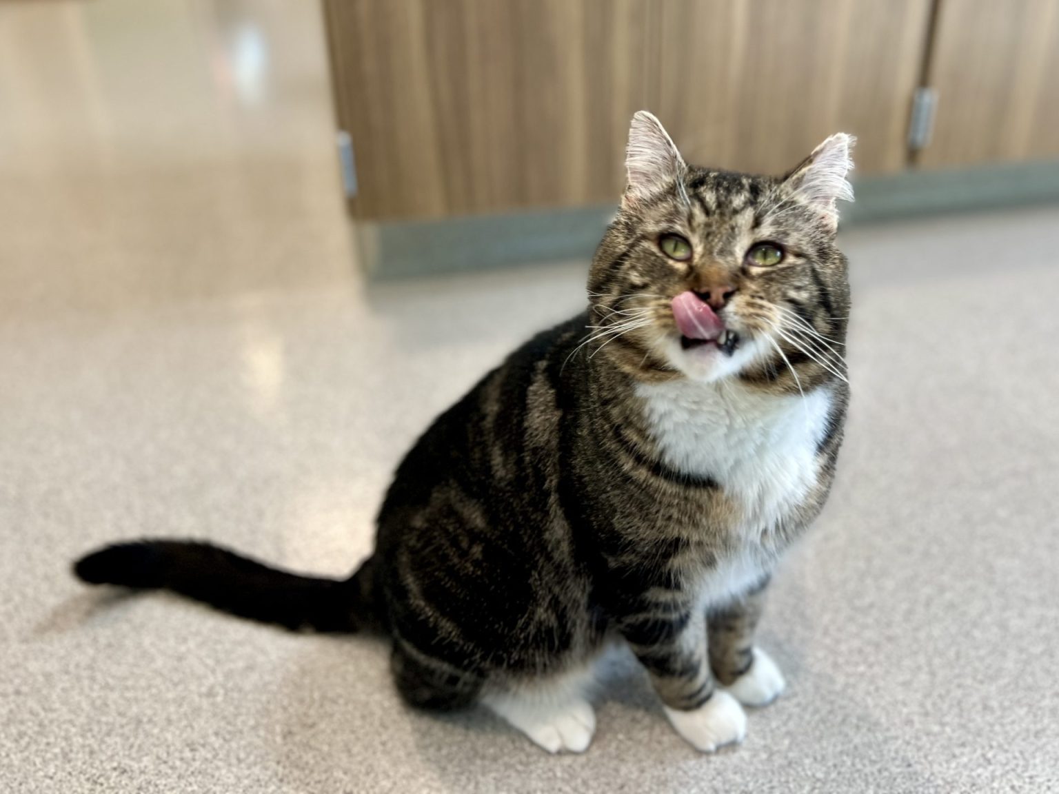 Oregon Humane Society