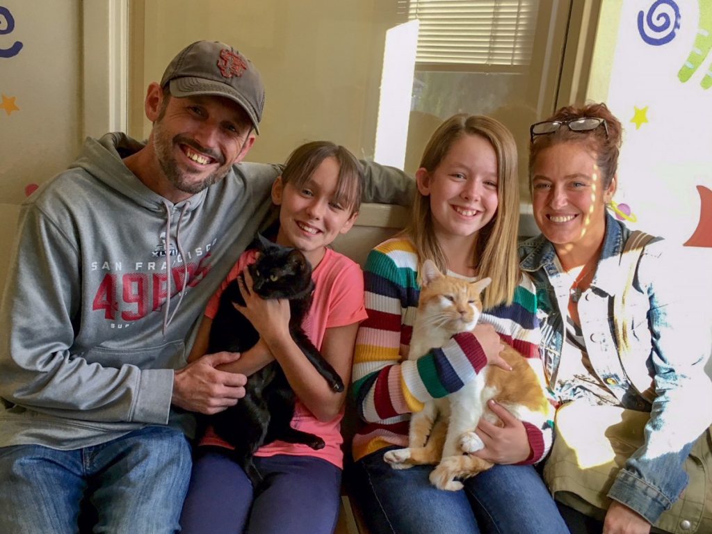 UPDATE: Garfield and Mimi's "Happily Every After" | Oregon Humane