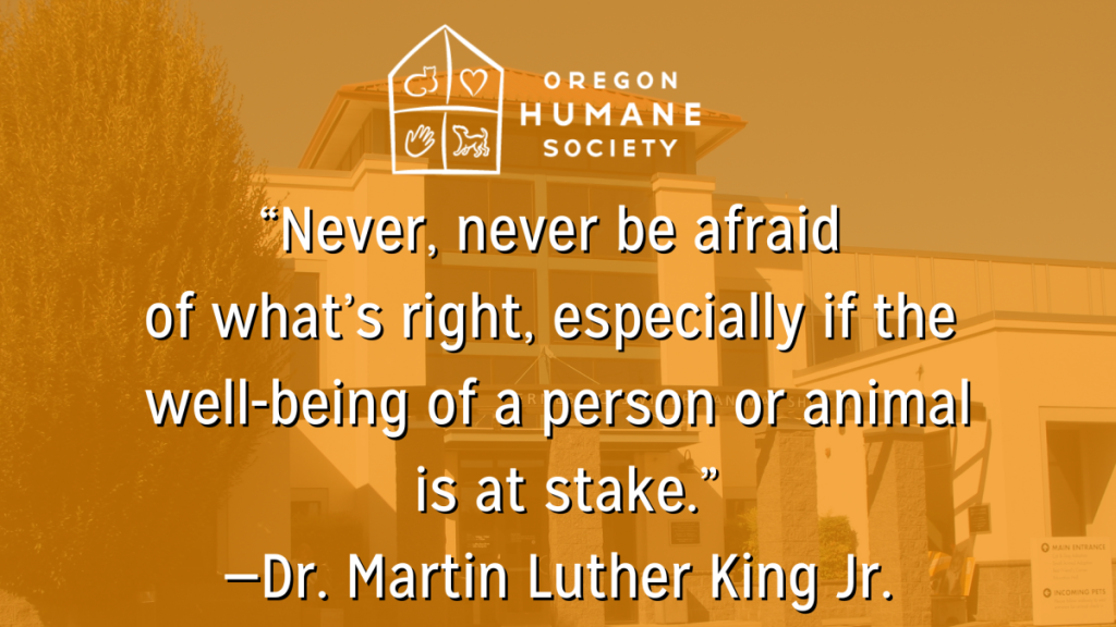 Martin Luther Jr Never Be The Right Thing To Do Affraid